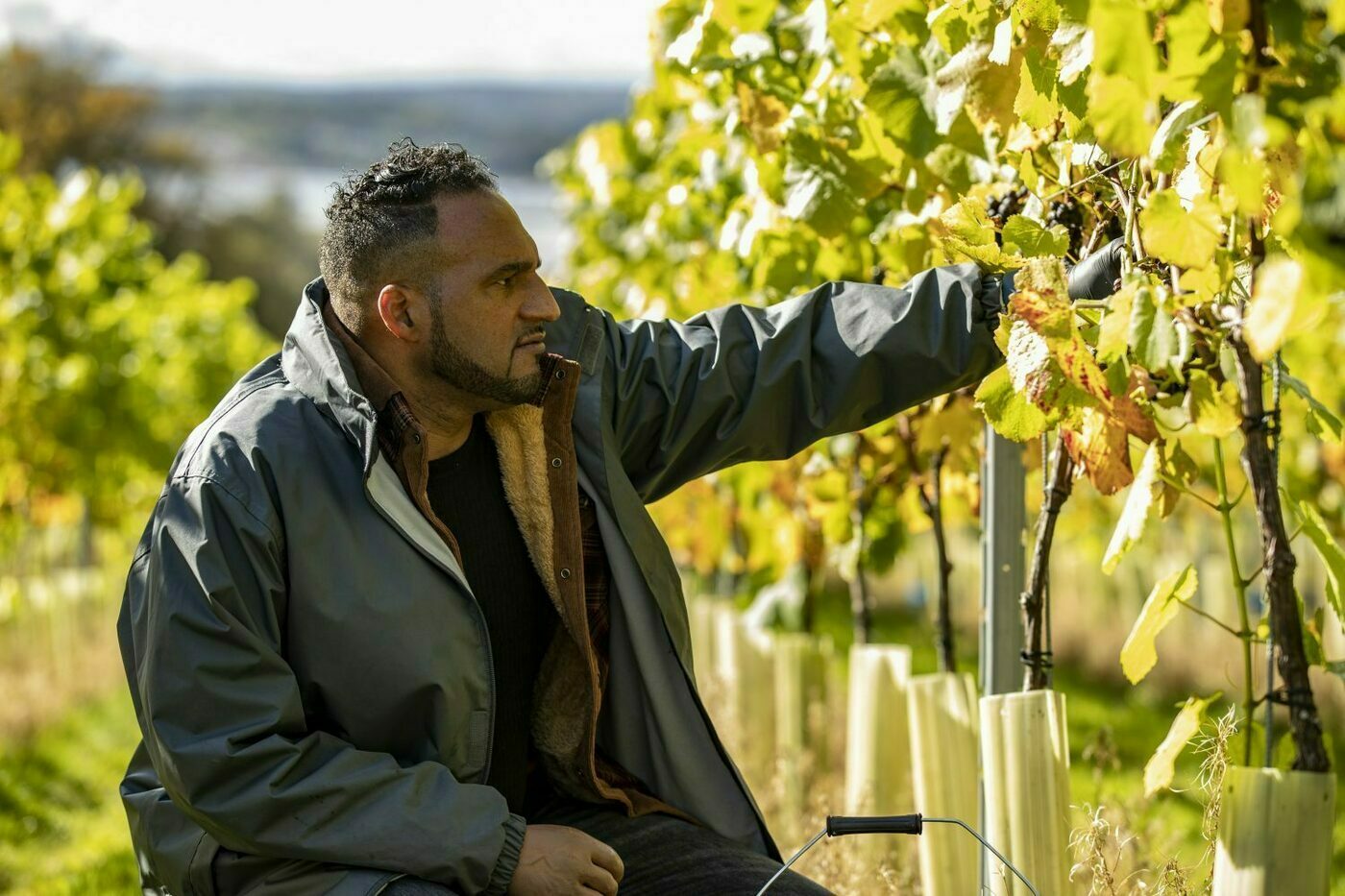 Exciting new ventures from Michael Caines - Oxford Cultural Collective